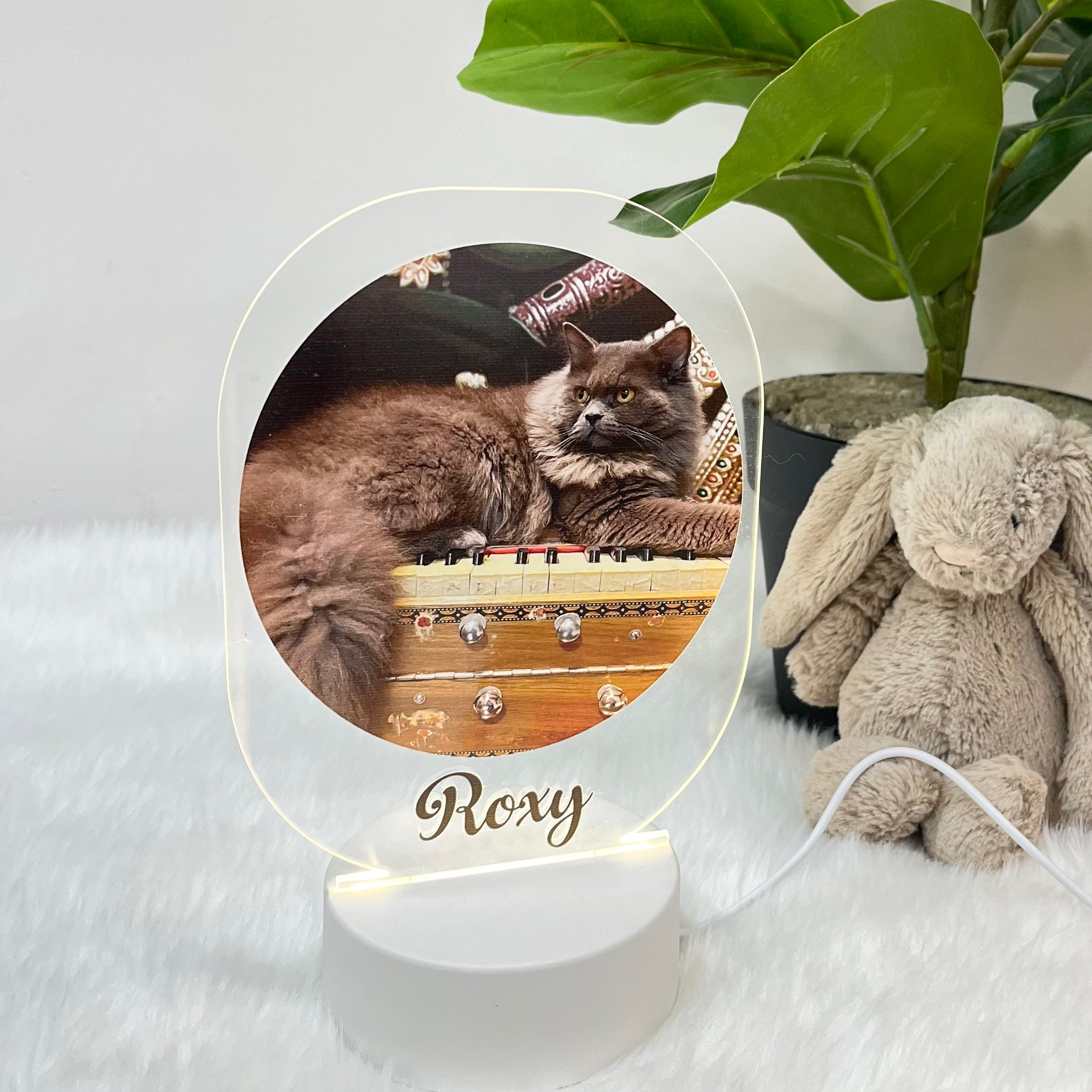 Acrylic LED Night Lamp - Mighty Paws – Buy Now at My Baby Babbles