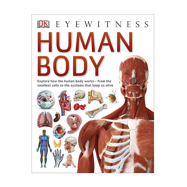 Dorling Kindersley, Human Body, Reference- My Baby Babbles